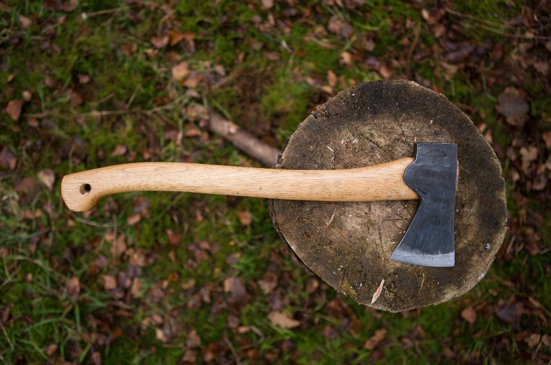 De 10 Beste bijlen om te hakken - Top 10 Koopgids - UNU A.I.